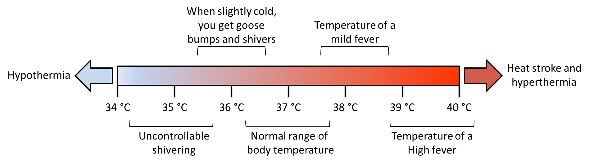 Basic Medical Obs. – Medical Mavericks